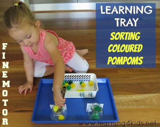 Learning Trays – Sorting Coloured Pompoms | Learning 4 Kids