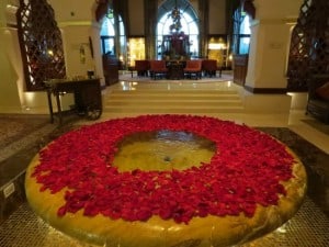 Spot Rooby Roo the Kangaroo Giveaway | Learning 4 Kids