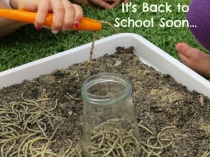 Digging for Worms Sensory Play | Learning 4 Kids