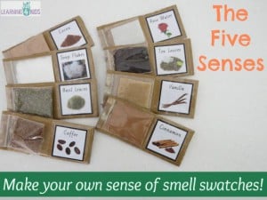 Five Senses – Sense of Smell & Touch Activity | Learning 4 Kids