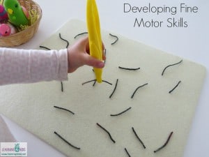 Fine Motor Fun Feeding the Birds | Learning 4 Kids