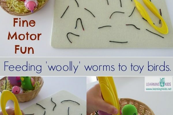 Fine Motor Fun Feeding the Birds | Learning 4 Kids