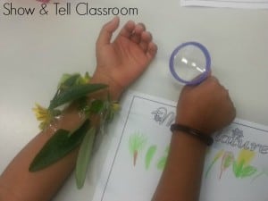 Mrs Moorman’s Kindergarten Classroom | Learning 4 Kids