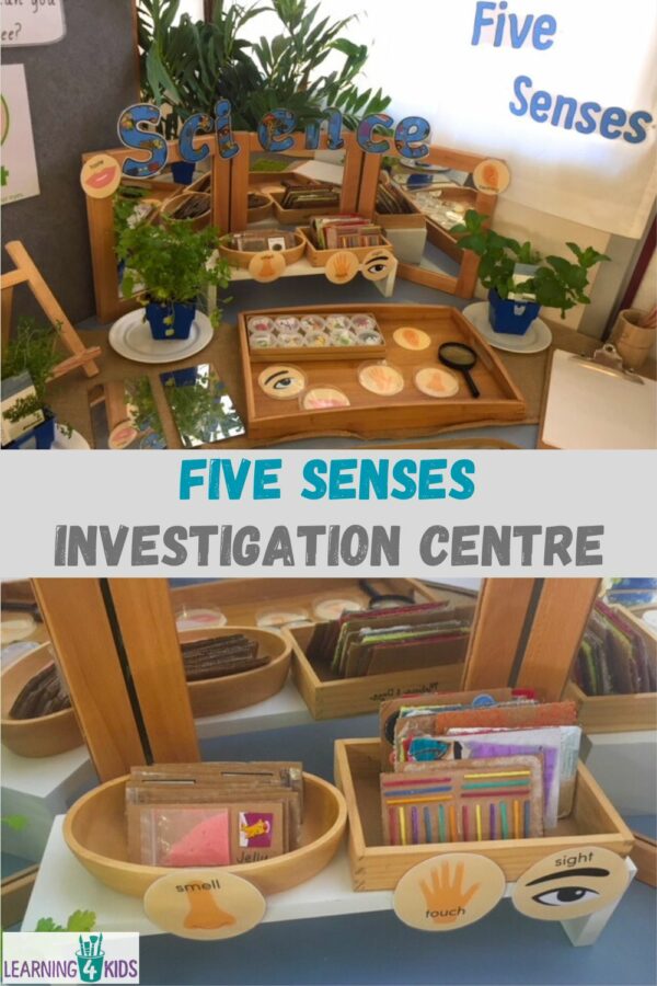 How to Set Up a Five Senses Investigation Centre | Learning 4 Kids
